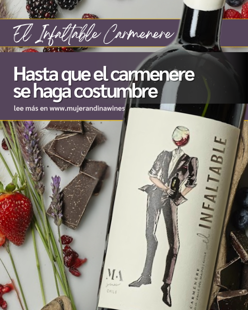 El Infaltable Carménère - Mujer Andina Wines